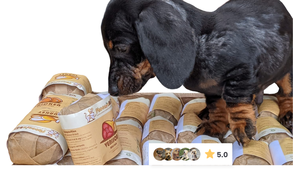 How it work image | Phoenix Bark