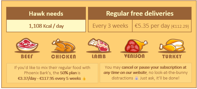 3-week Mix – Hawk | Phoenix Bark