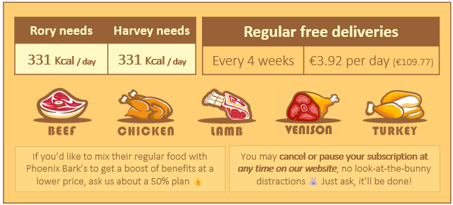 4-week mix – Rory & Harvey | Phoenix Bark